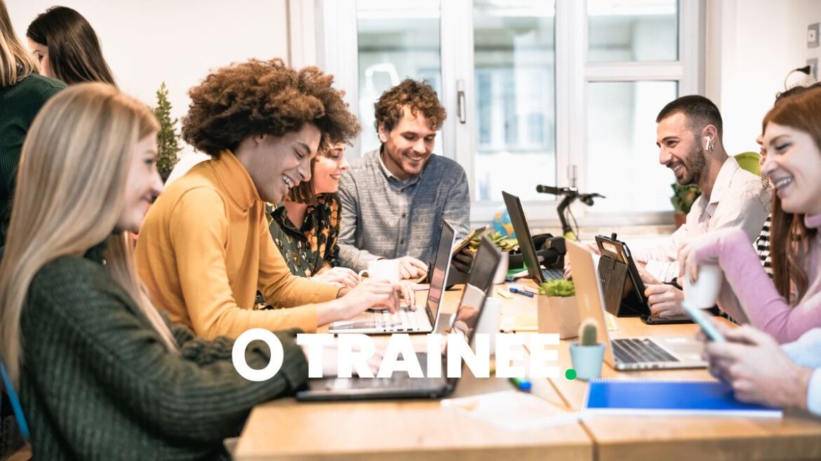 O que é uma posição de junior ou trainee? - O TRAINEE