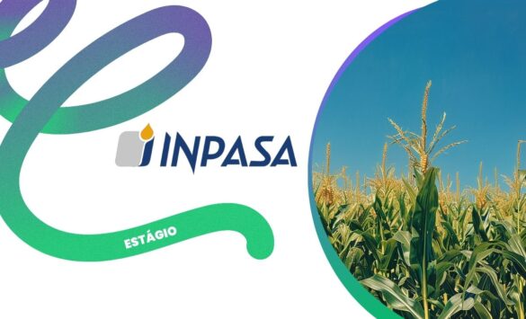 Inscreva-se Agora no Programa de Estágio Inpasa 2025 em Sinop, MT - O ...