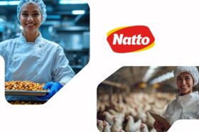 Programa de Trainee TechnipFMC 2025: Sua Chance de Trabalhar em uma Multinacional de Energia ...